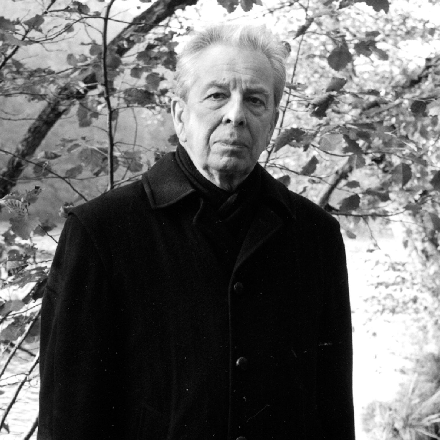 Author: Andre Corboz – Godine